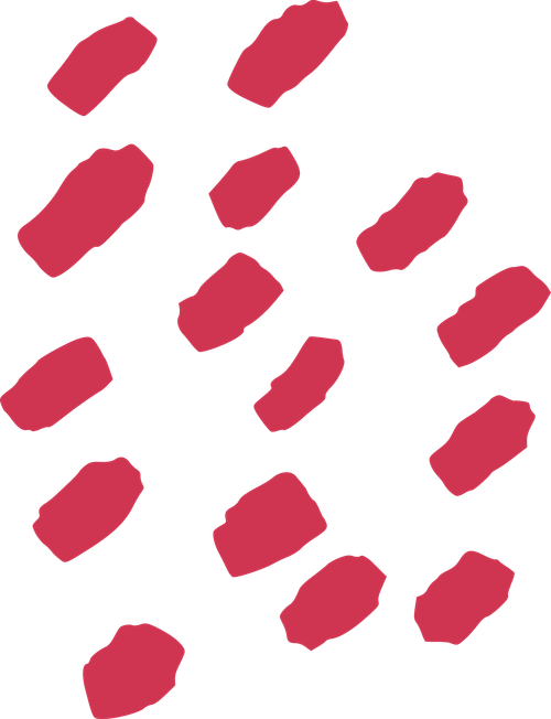 Print Textbooks from Mathspace